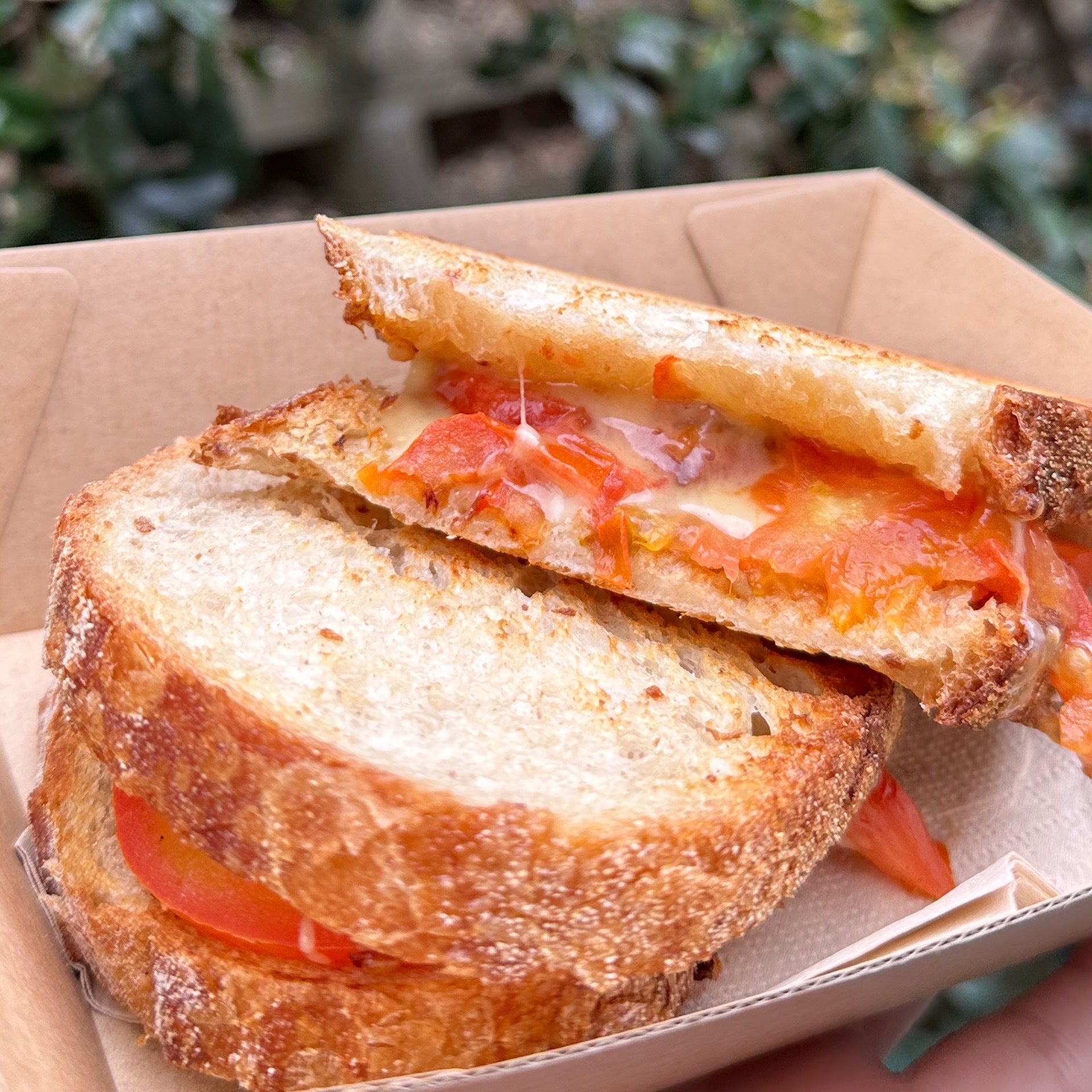 Toastie - HOLY TAMOLI (Cheese&Tomato) | The Lillypad Cottage